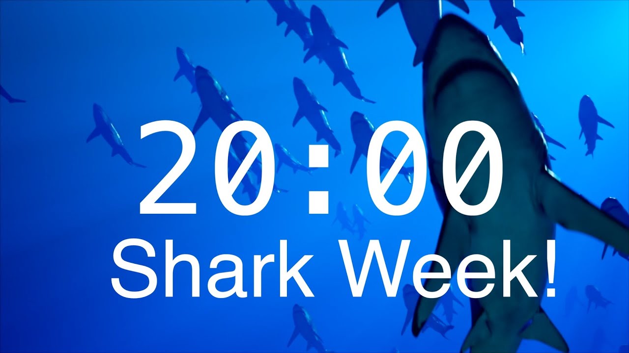 20 Minute Countdown Timer with Alarm | Relaxing Music | Shark Timer ...