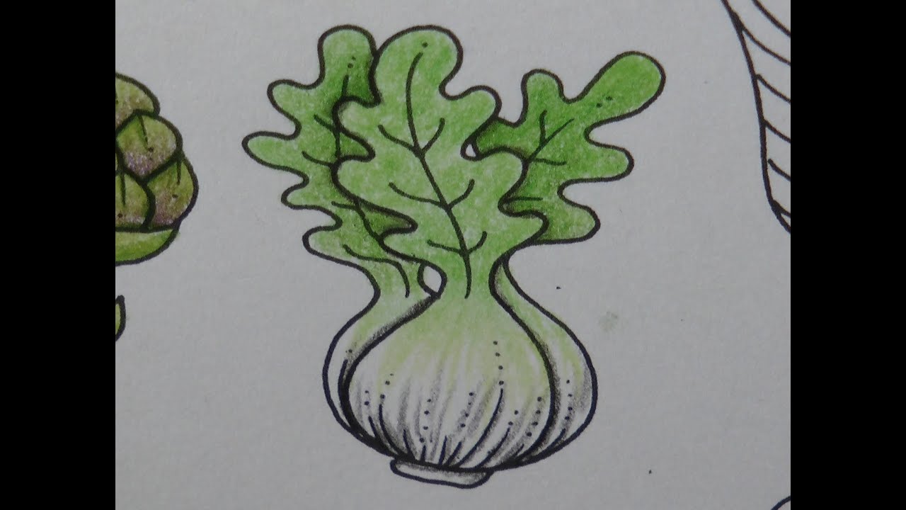 Adult Colouring Tutorial Bok Choy - from Worlds of Wonder by Johanna ...