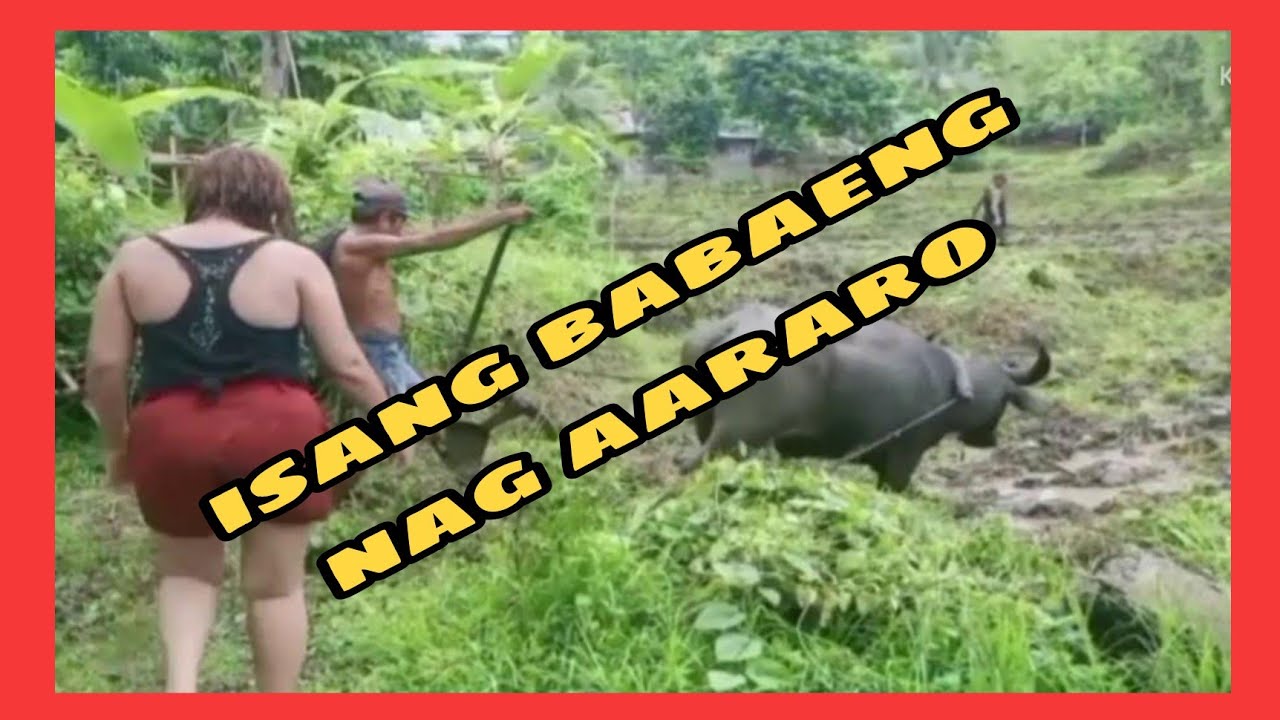 Isang magandang babae nag aararo ang galing nyang mag araro - YouTube