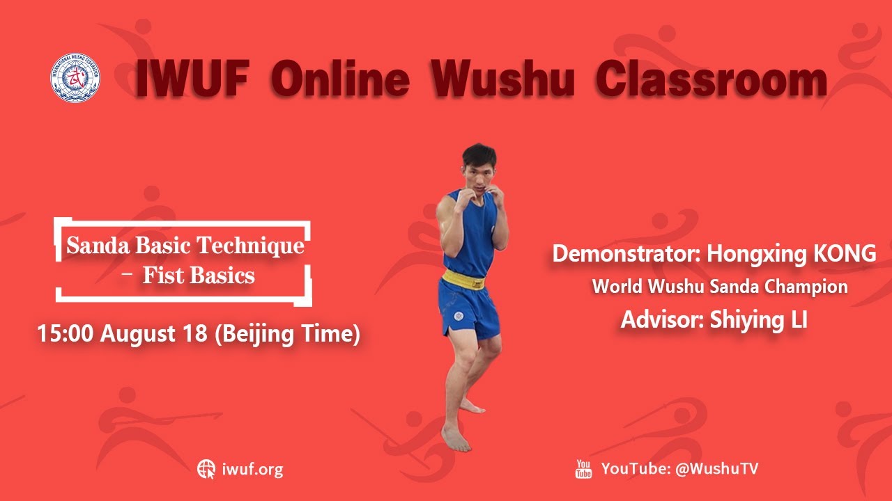 46. Sanda Basic Technique - Fist Basics - YouTube