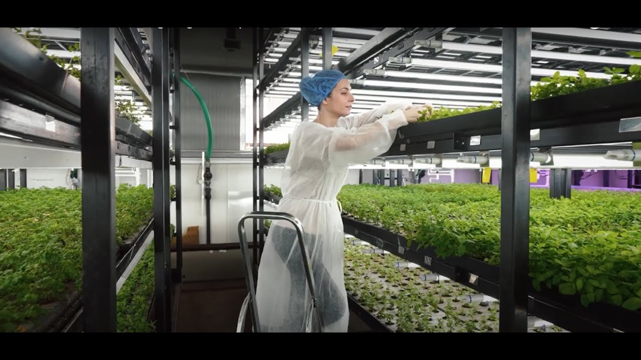 Cargill Innovation: Reimagining what’s possible - YouTube