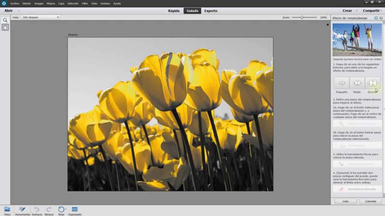 TUTORIAL PHOTOSHOP ELEMENTS 13 - 1 INTERFACE - YouTube
