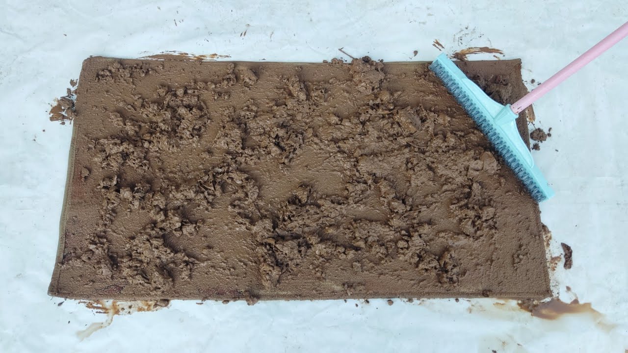 This is amazing! Cleaning mud carpet | cleaning rugs satisfying | asmr ...