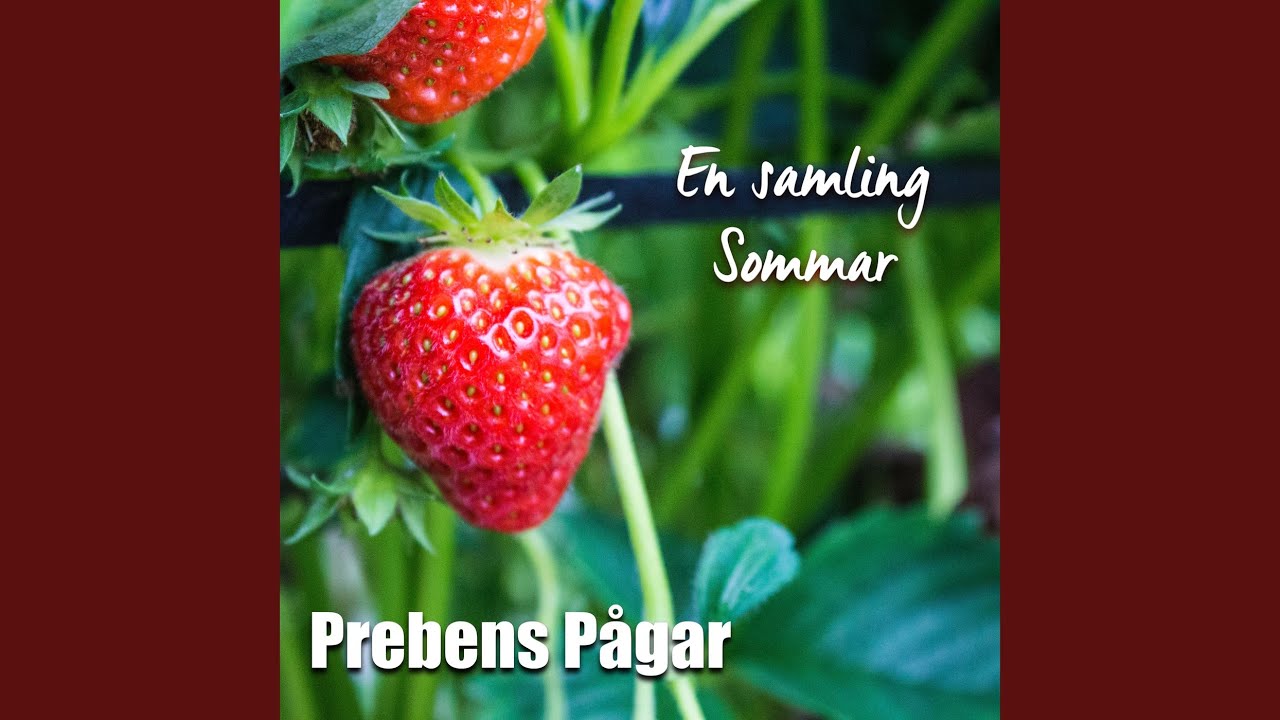 En Sommardag i Sverige - YouTube