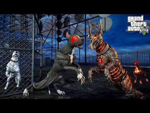 SON DÖVÜŞ! PİTBULL TERMİNATÖR VS CANE CORSO SAURON! - GTA 5