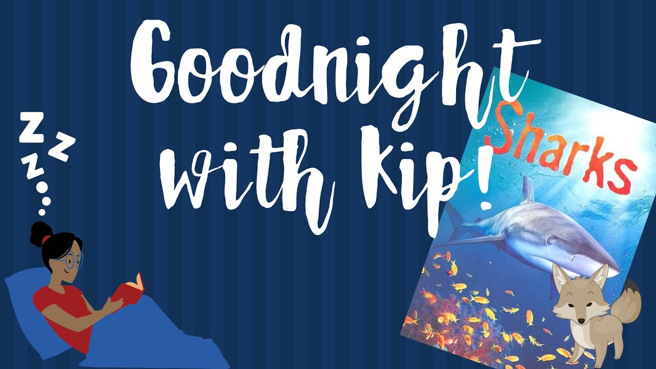 Goodnight with Kip: Sharks - YouTube