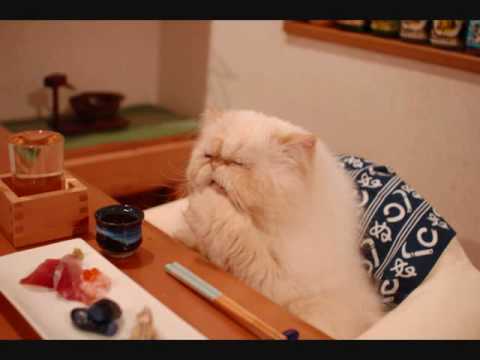 白ブーファイル 日本酒 shirobu file Japanese sake - YouTube