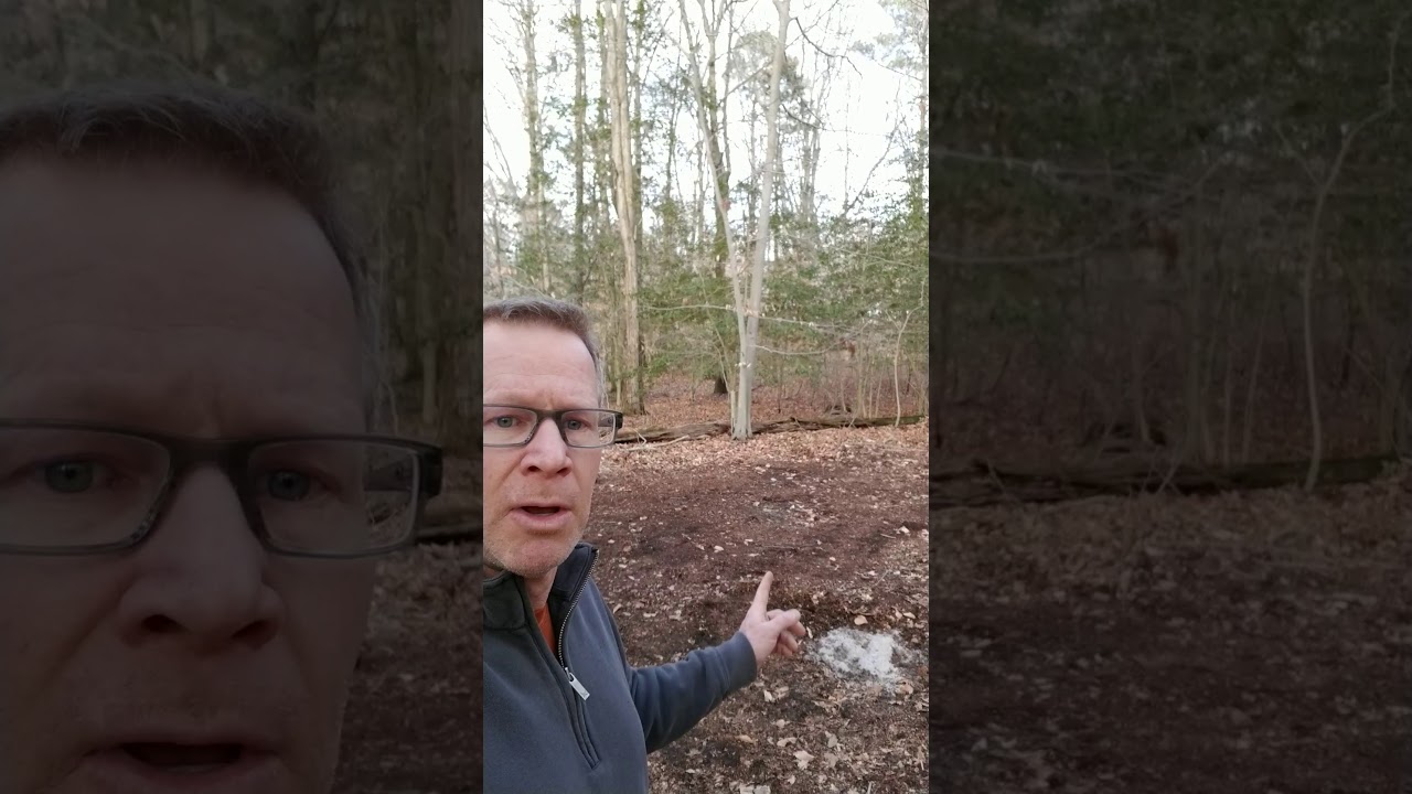 Record Rack BAM at High Tines Farm - YouTube