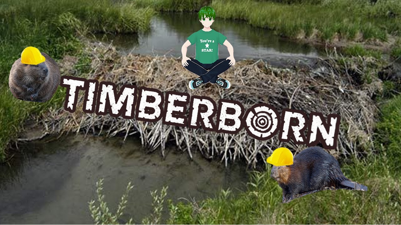 Timberborn! I'm building a city and only beavers are allowed in. - YouTube
