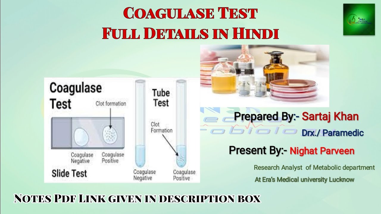 coagulase test | coagulase test in microbiology | coagulase test in ...