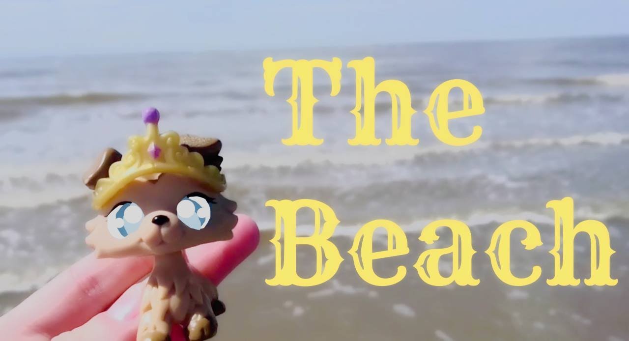 LPS : Vlogging With Me - TRIP TO THE BEACH! - YouTube