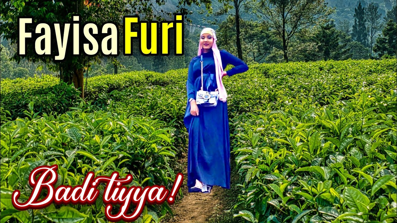 Fayisa Furii - Badi tiyya - Oromo music - YouTube