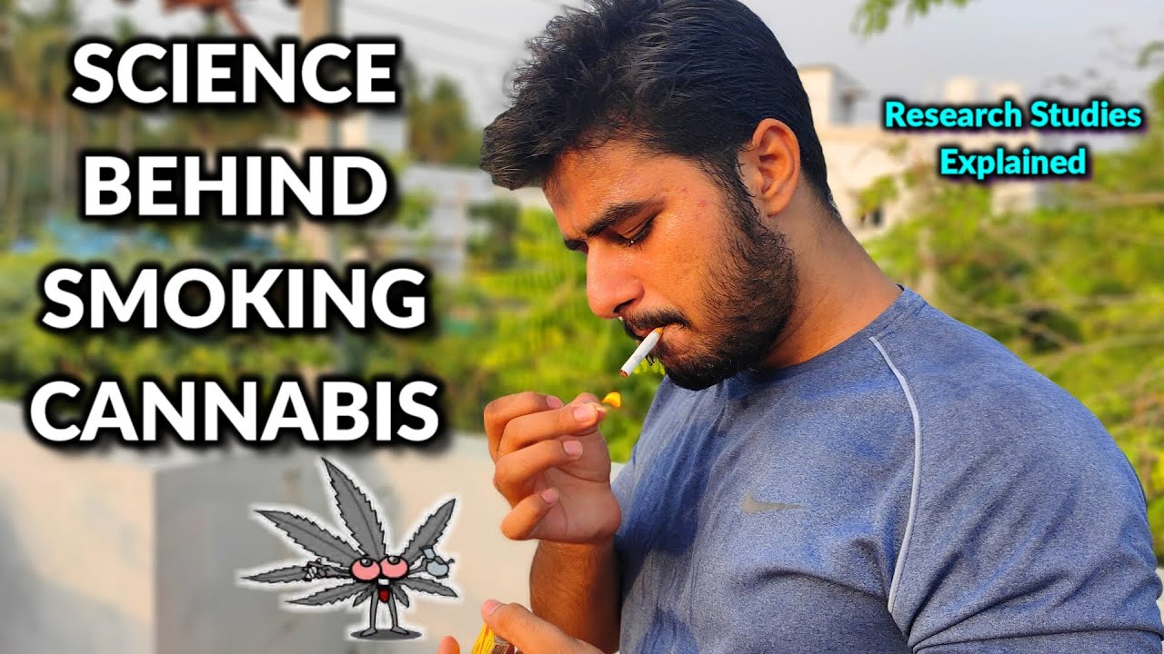 How to smoke Ganja for maximum highness? 🤣🤦🏻 - YouTube