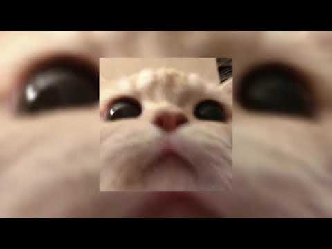 Chhote Chhote Peg - Sonu Ke Titu Ki Sweety (sped up)