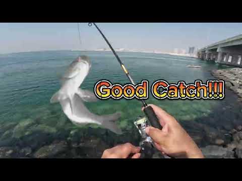 GOOD CATCH🎣🎣🎣🇦🇪🇵🇭 - YouTube
