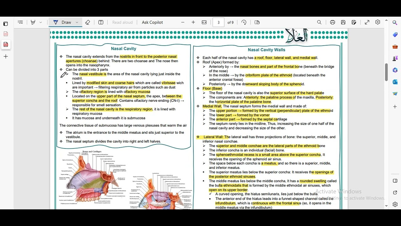 RS Anatomy 1 P1 - YouTube