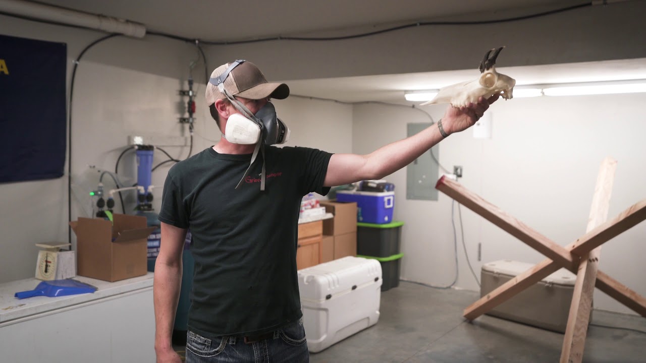 Rapid Level is too Fast! - YouTube