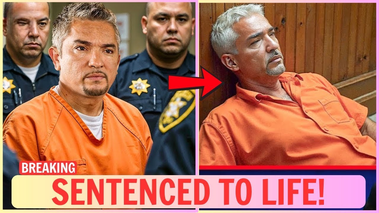 Cesar Millan Breaks Down in Court After Jaw-Dropping Sentence - YouTube