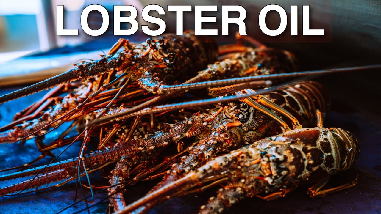 Lobster recipe - how to lobster shells oil - lobster- 2020 - YouTube