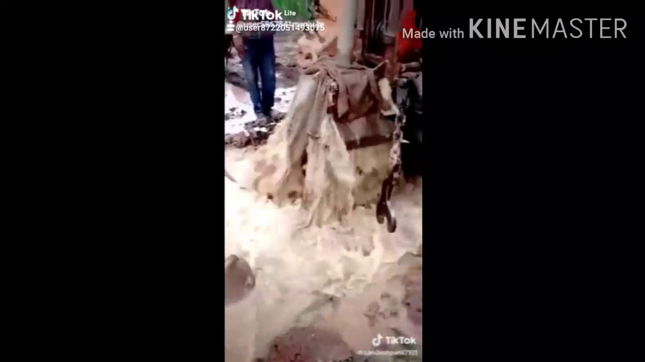 12 November 2020 - YouTube