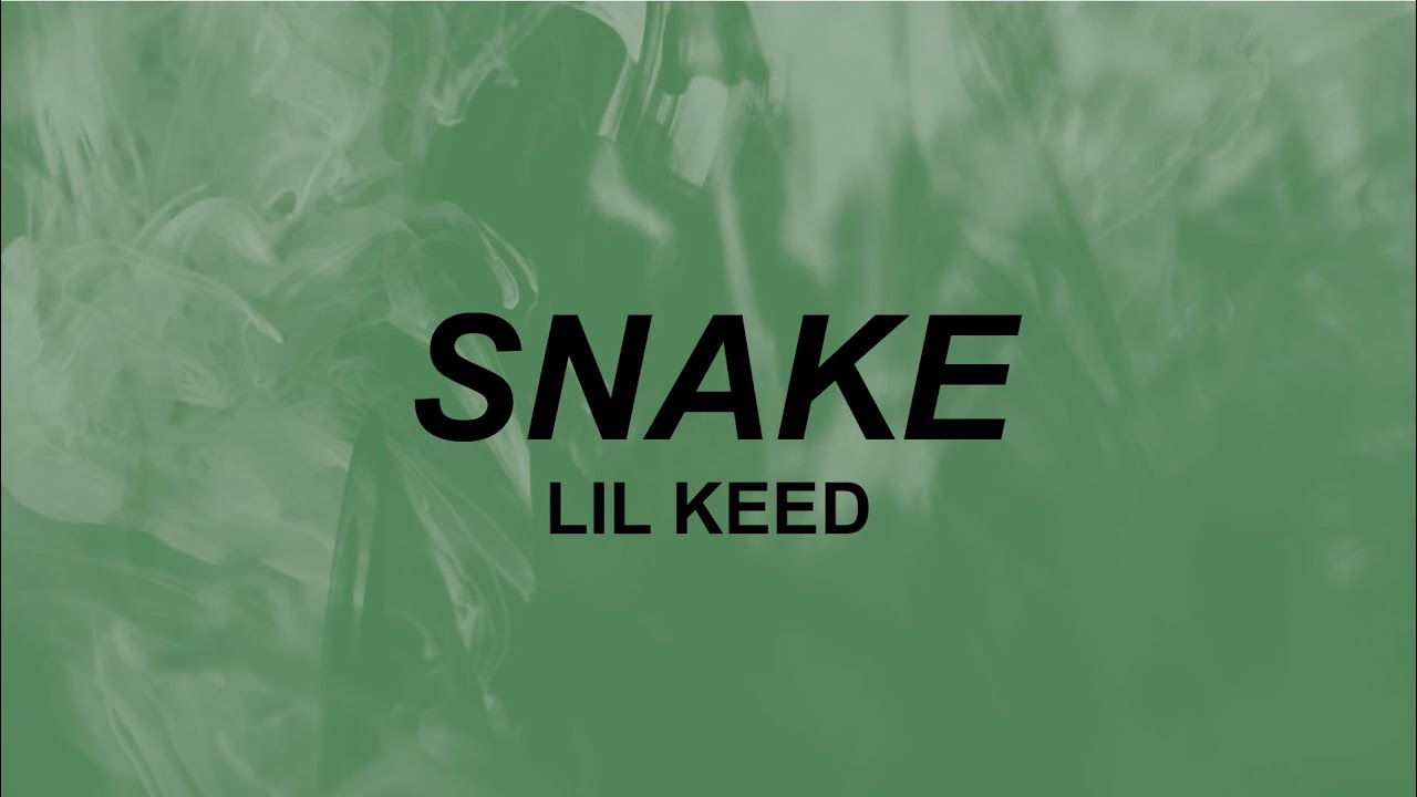 Lil Keed - Snake (Lyrics) | young ysl bitch we livin life | TikTok ...