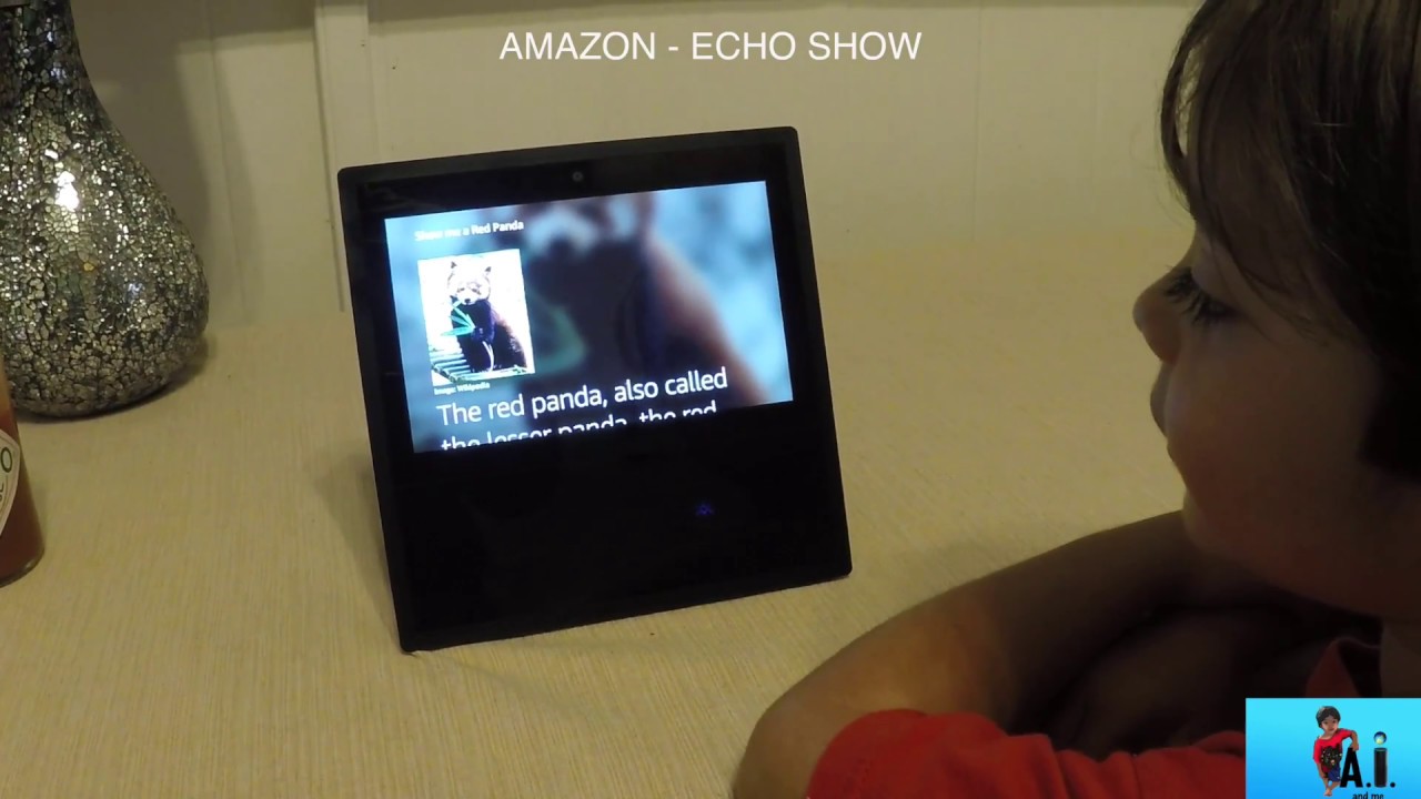 AMAZON -ECHO SHOW - ALEXA, SHOW ME A RED PANDA. - YouTube