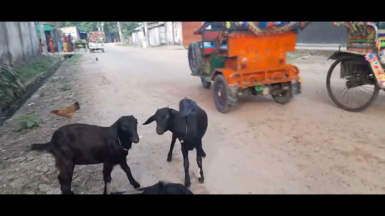 Goats #Poet Russell - YouTube