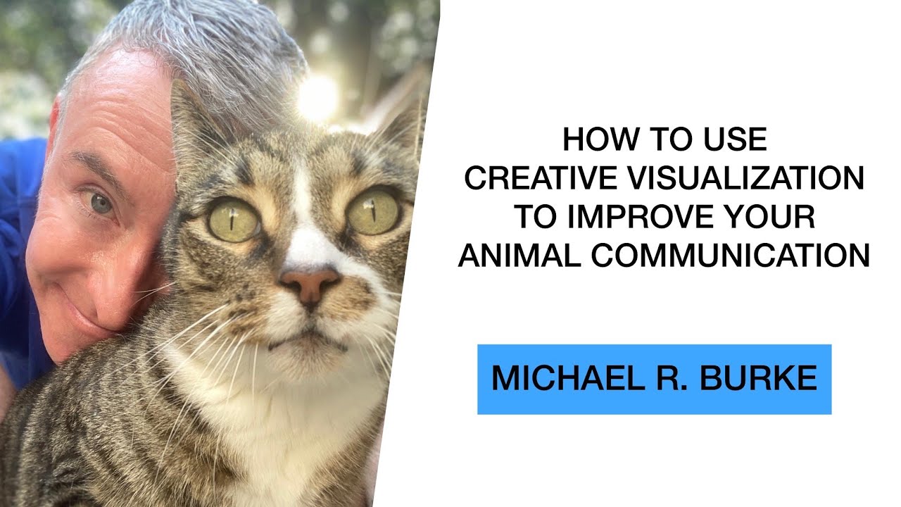 How to Use Creative Visualization to Improve Your Animal Communication ...