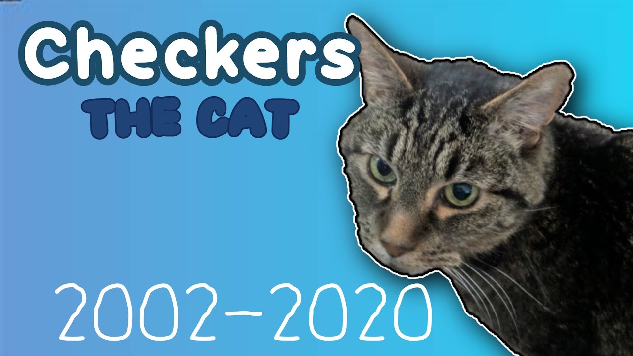 Checkers the Cat | 2002-2020 - YouTube