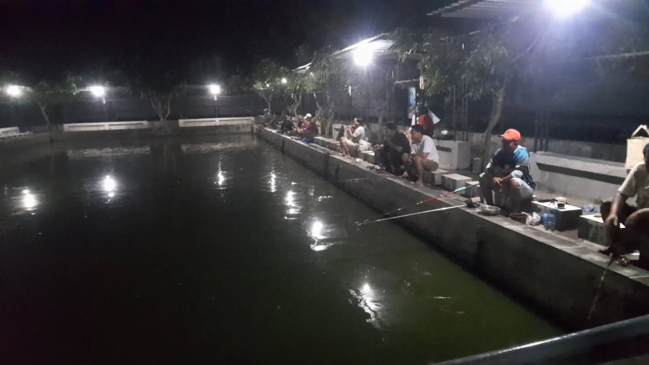 MABAR pesta Strek ikan PATIN LELE🎣🎣🐋🐋 - YouTube