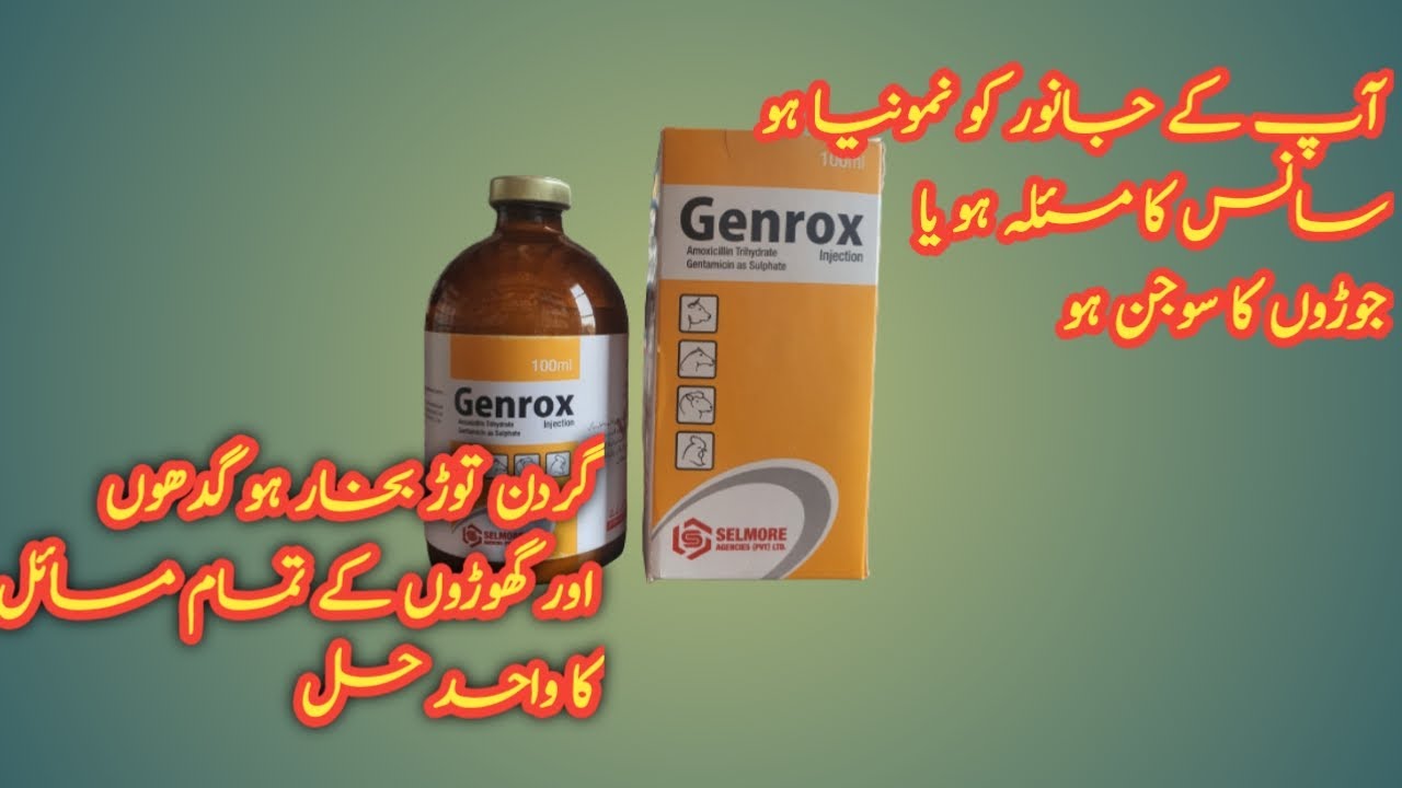Genrox injection ! Best Amoxicillin injection in Pakistan - YouTube