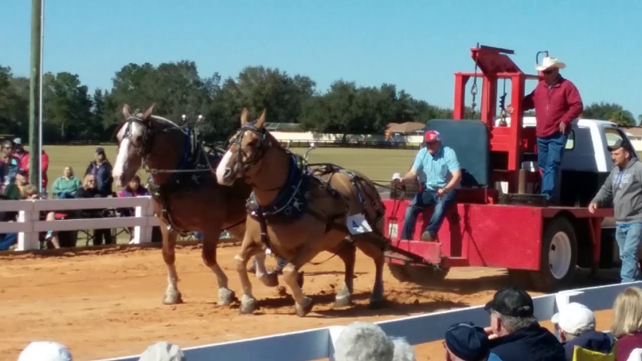 Villages Horse Pulling 2020 - YouTube