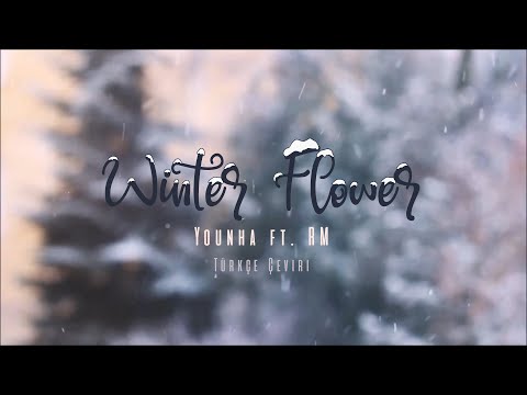 Younha ft. RM - Winter Flower (윤하) [Türkçe Çeviri]