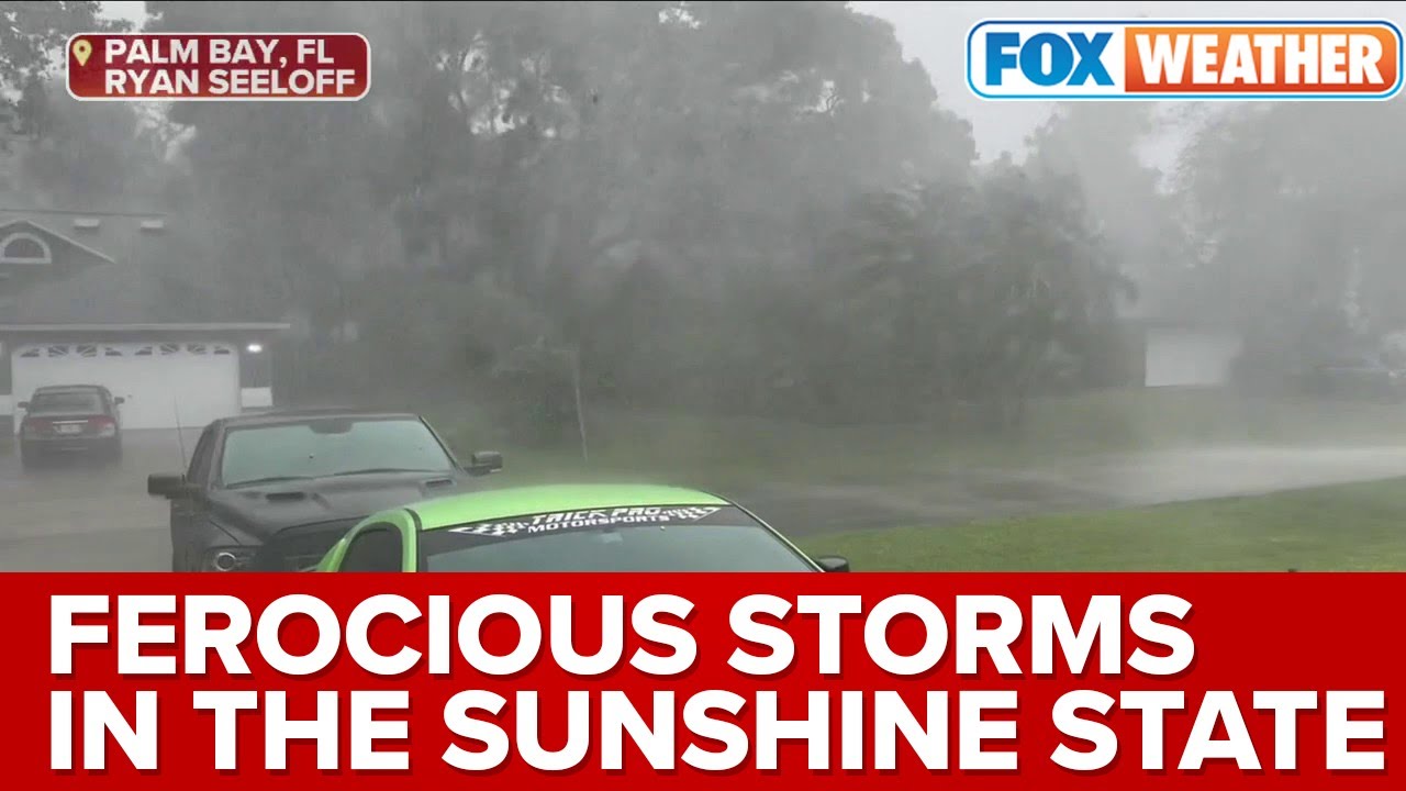 FL Resident on Storms: Never Seen Anything Pop Up With Such Ferocity ...