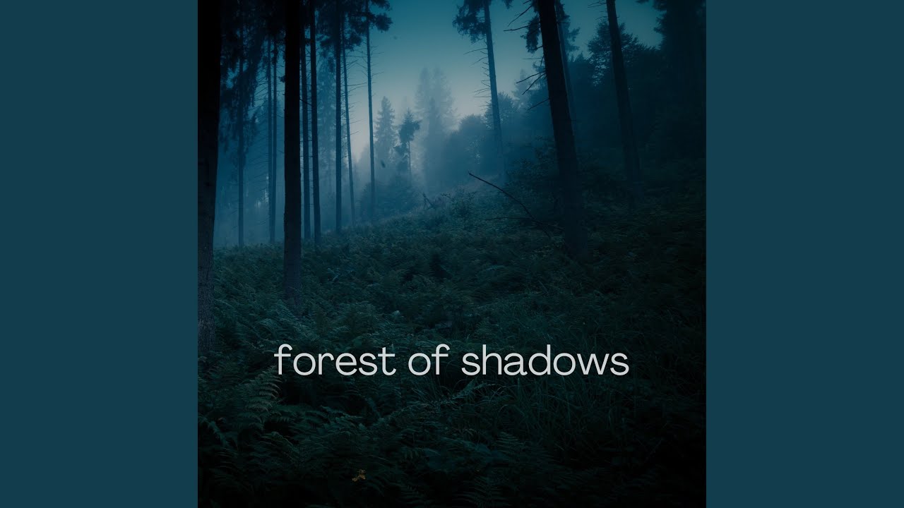 Forest of Shadows (Loop) - YouTube