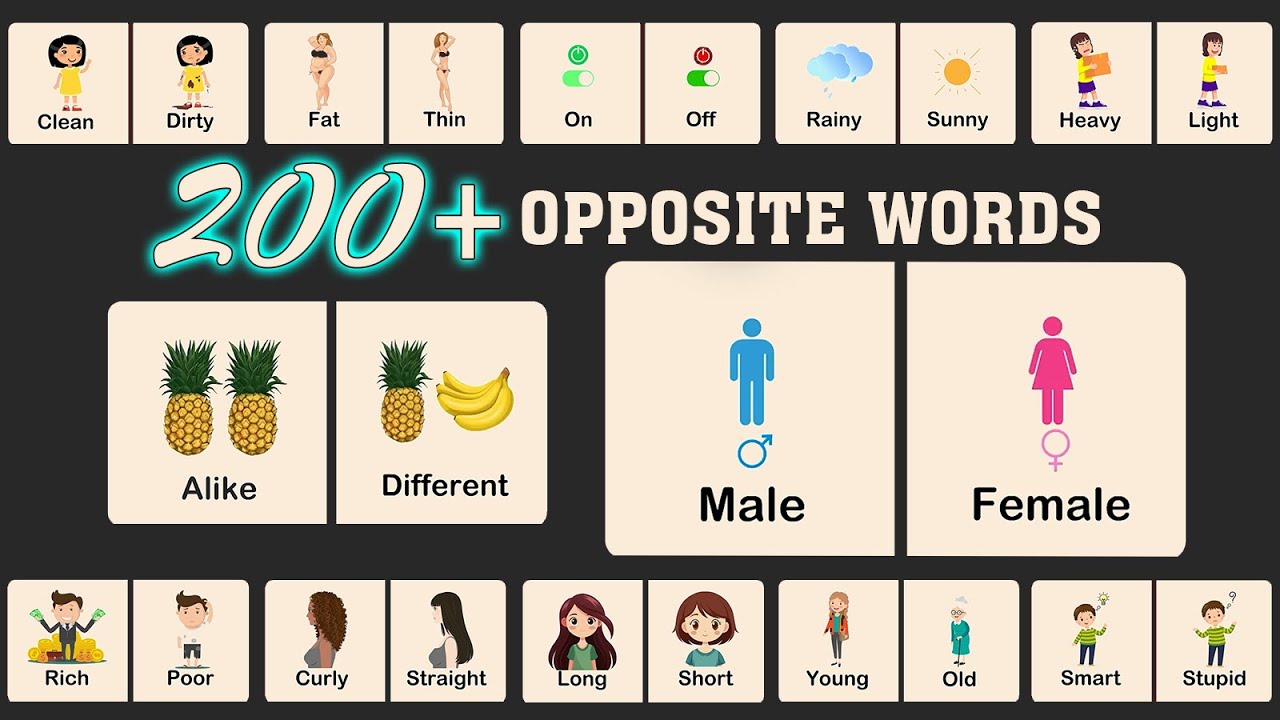 200+ Opposite Words in English | Antonyms in English | Common opposites ...