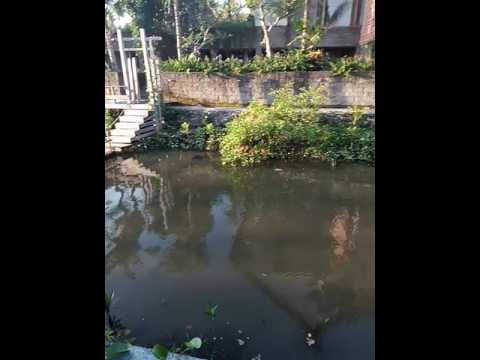 Sensasi mandi di kali