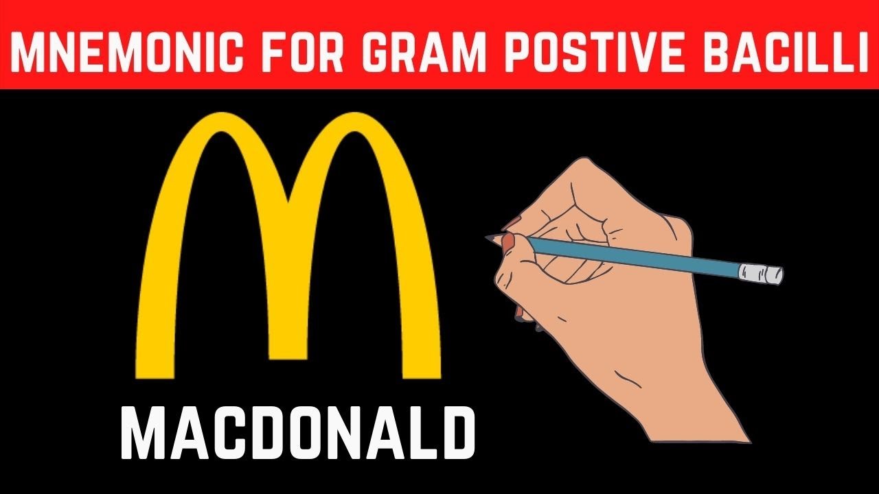 Mnemonic For Gram Positive Bacilli | Clinical Bacteriology Mnemonic ...