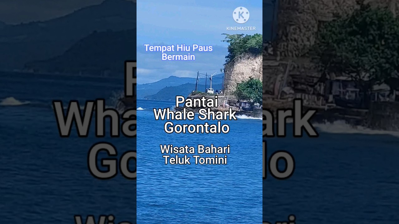 Pantai Whale Shark Gorontalo Wisata Bahari Teluk Tomini #botubarani # ...