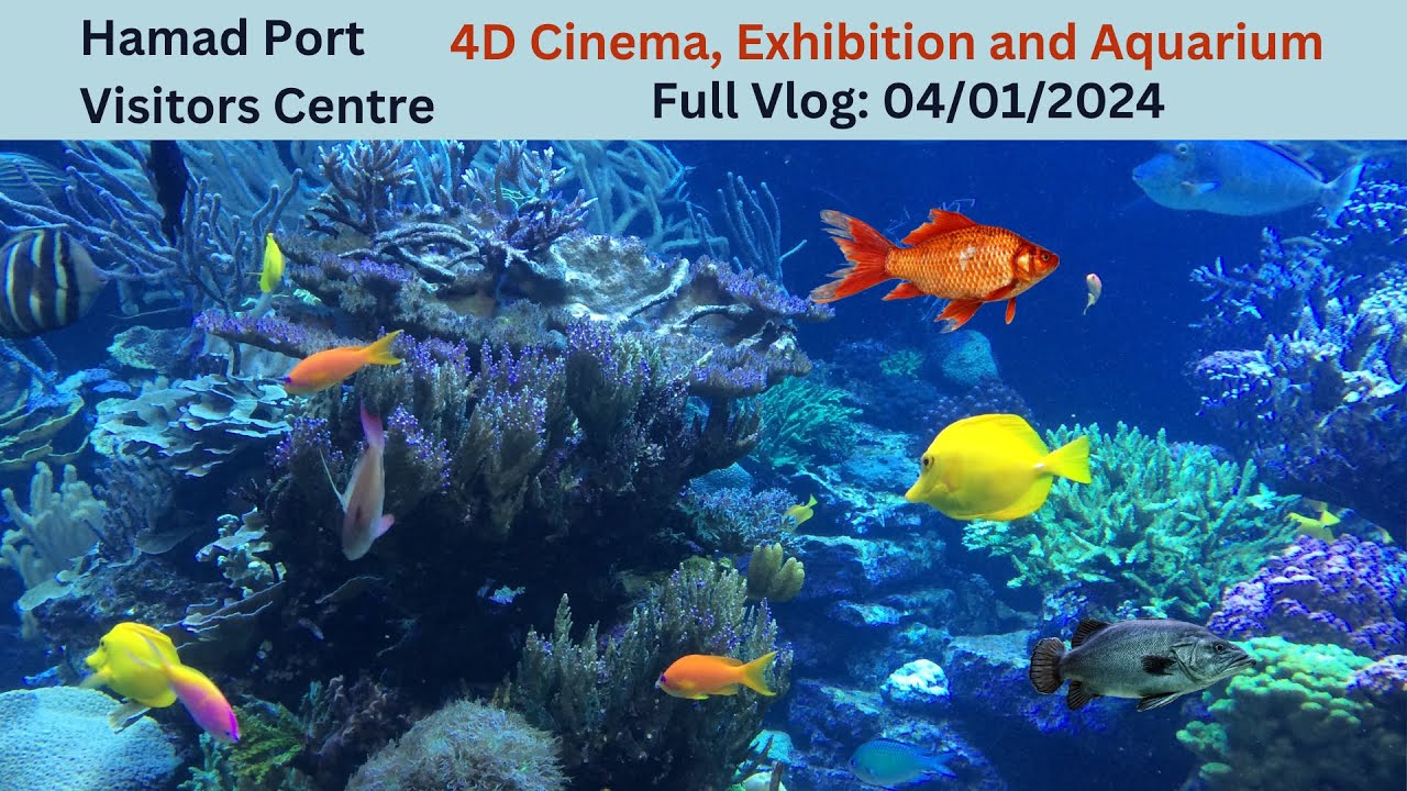 Qatar's Hidden Gem: Hamad Port Visitors Centre - Complete Tour! - YouTube