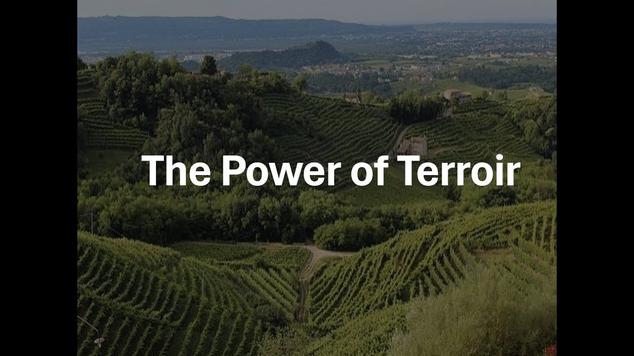 The Power of Terrior - YouTube