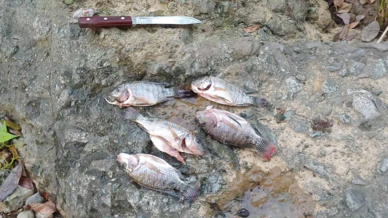 Una pequeña aventura de pesca y Saludos a dos colegas - YouTube