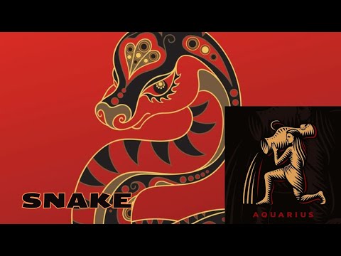 AQUARIUS - SNAKE - YouTube