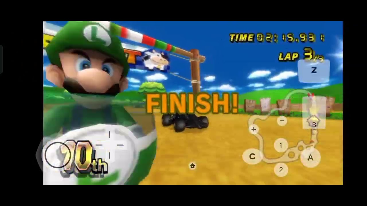 Mario Kart Wii: Losing Animations - YouTube