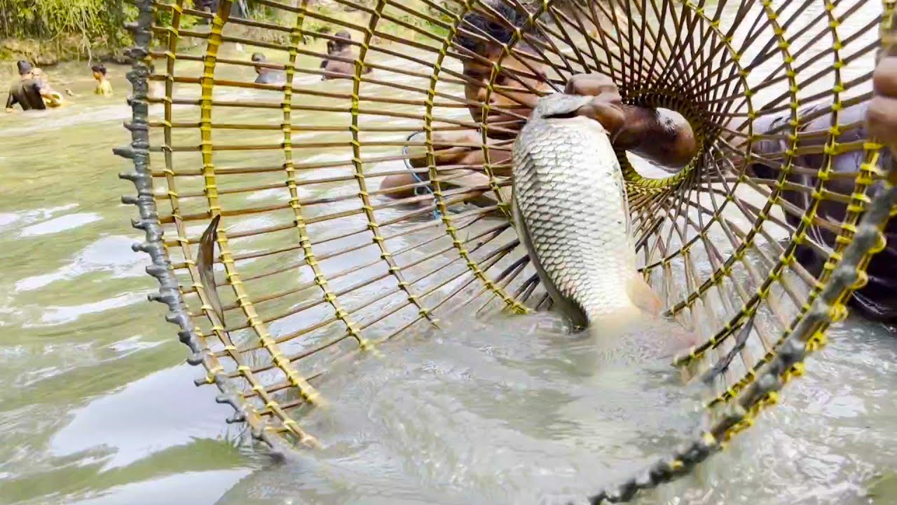 Catching Big Carp Fish In Traditional Fishing Video | Best Village ...