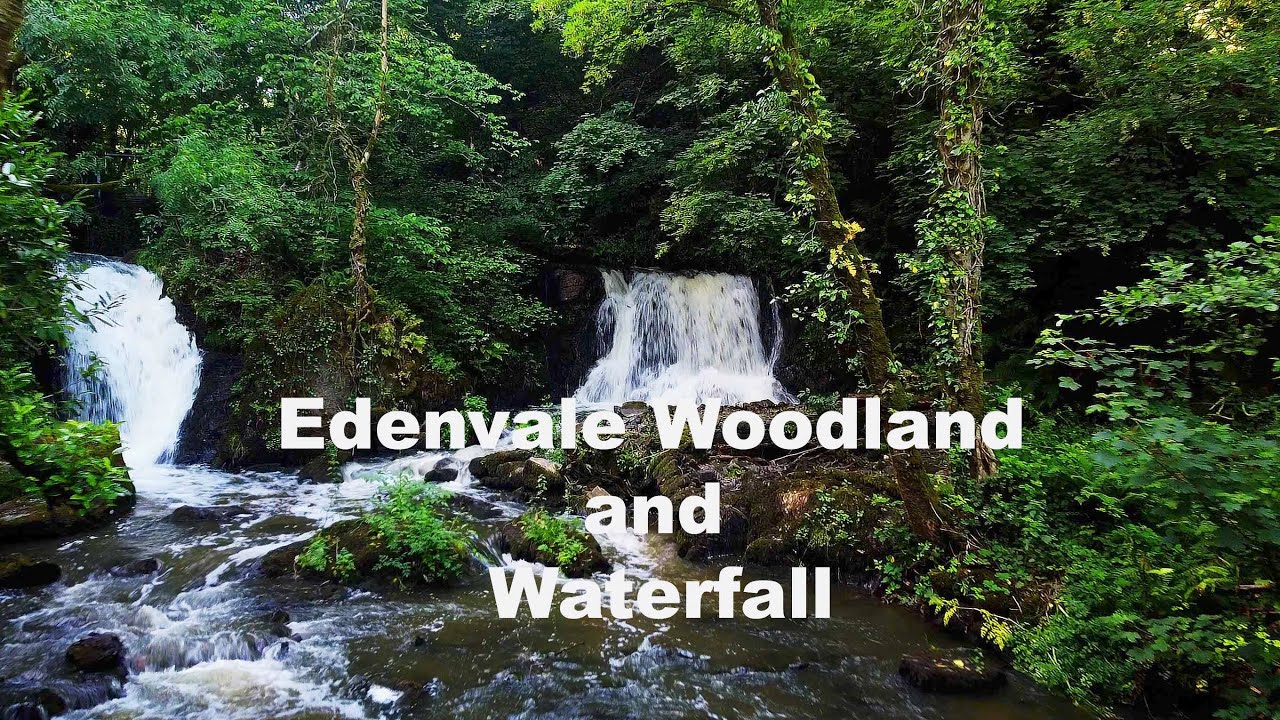 WEXFORD WINDOW: EDENVALE a Beautiful walk and Mesmerising Waterfall ...