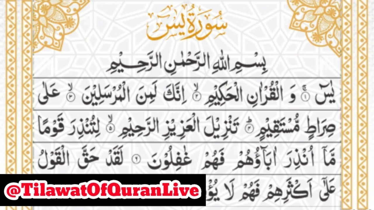 Surah Yasin Live | Surah YASEEN (Ya-Seen) | سورة يس | Yaseen Live ...