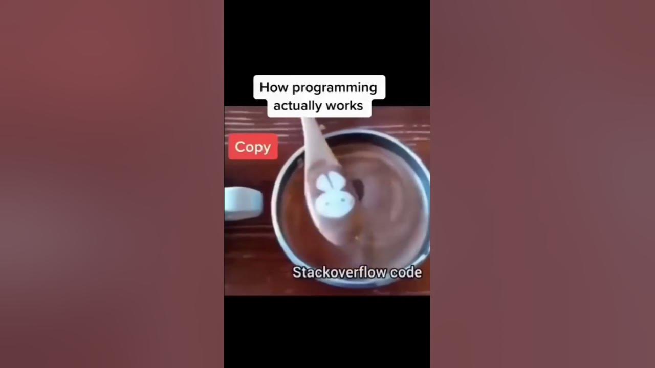How Programming Actually Works Codingforbeginners Codingbasics Coding Generativeai 