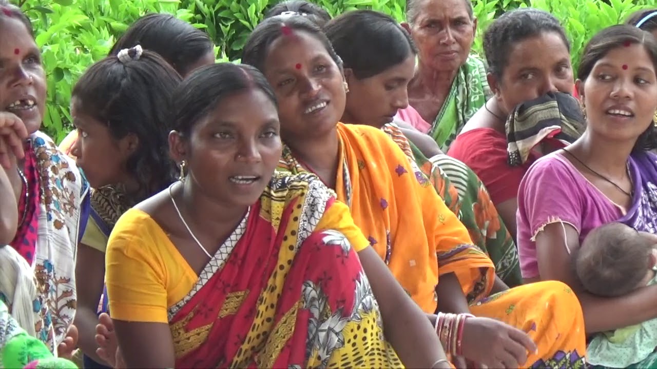 Madhya Pradesh Samaj Seva Sanstha (MPSSS) Journey throughout 2019 - YouTube