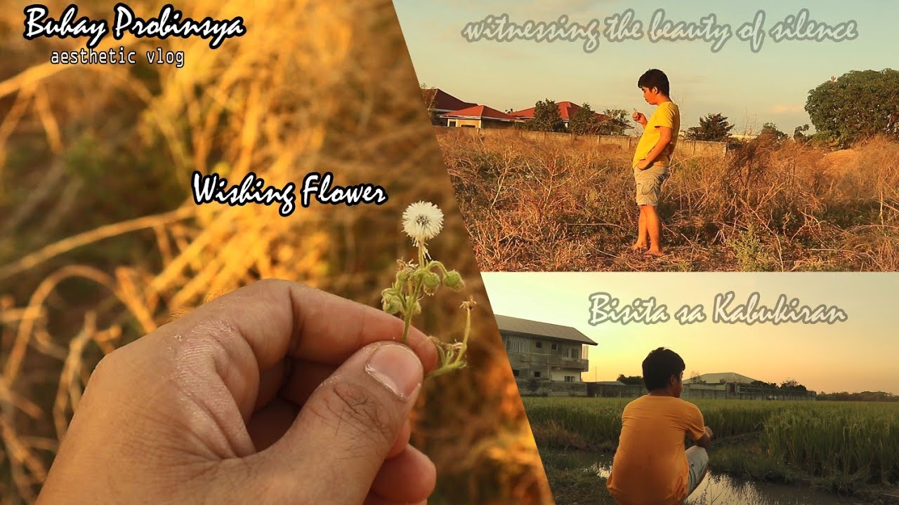 Wishing Flower Sa Bukid 🌸🍃🍂🏚 | Simple life in the Philippines ...